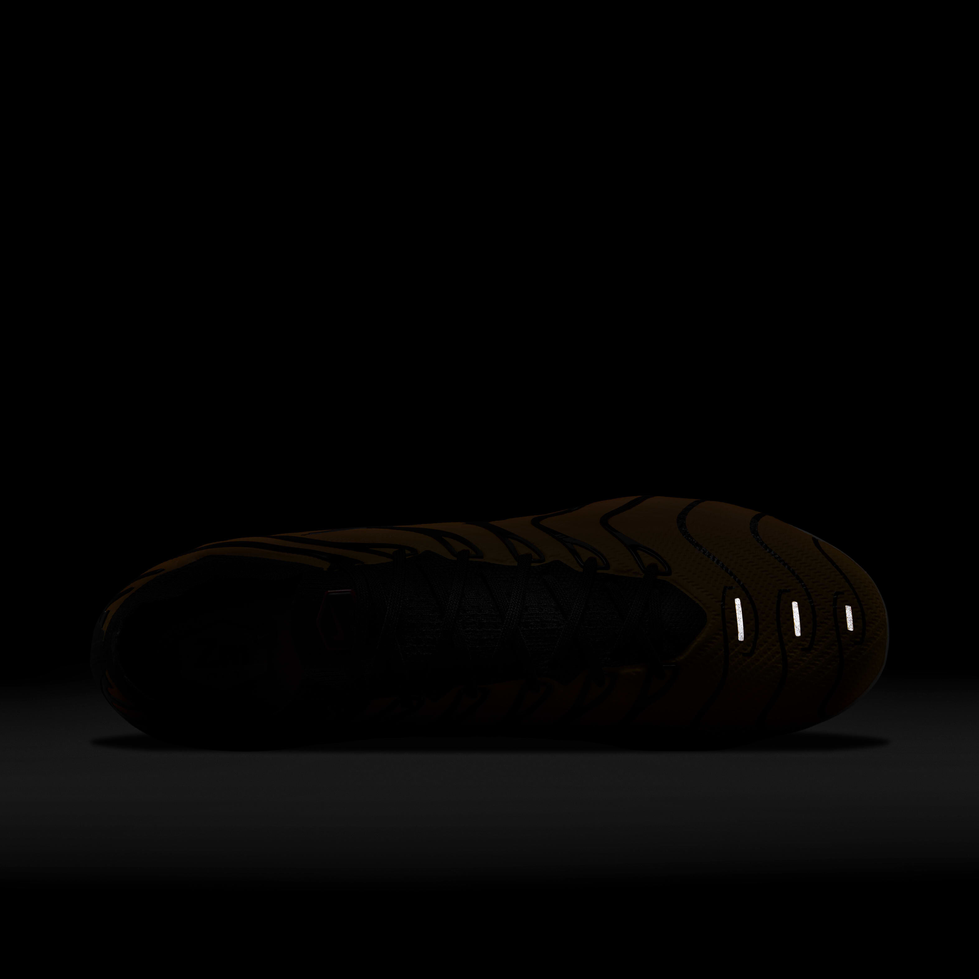 Nike Mercurial Vapor 15 X Air Max Plus 1